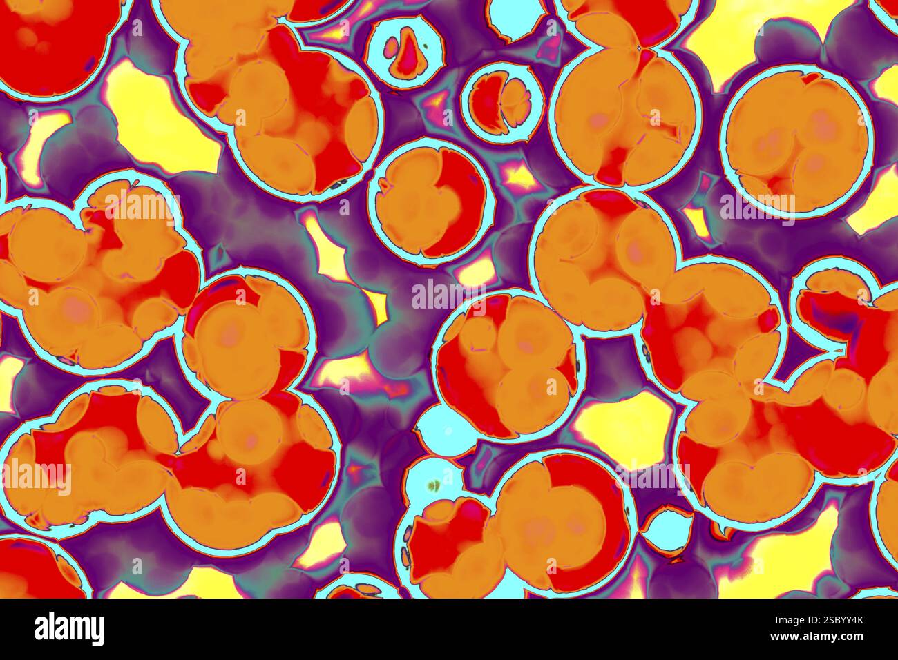 Shape of bacterial cell: cocci, bacilli, spirilla bacteria background ...