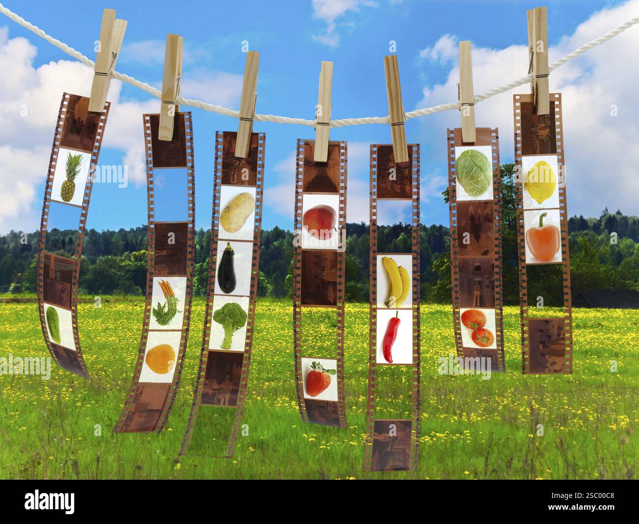 Films With Fruits And Vegetables Photos From My Portfolio At The Pegs ...