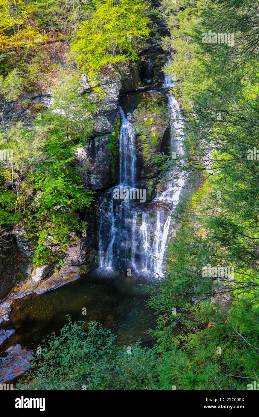 Waterfall pours over rocky cliffs into a tranquil pool surrounded by ...