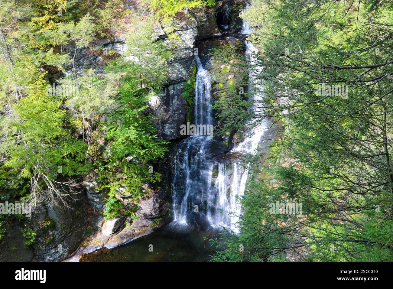 Waterfall pours over rocky cliffs into a tranquil pool surrounded by ...