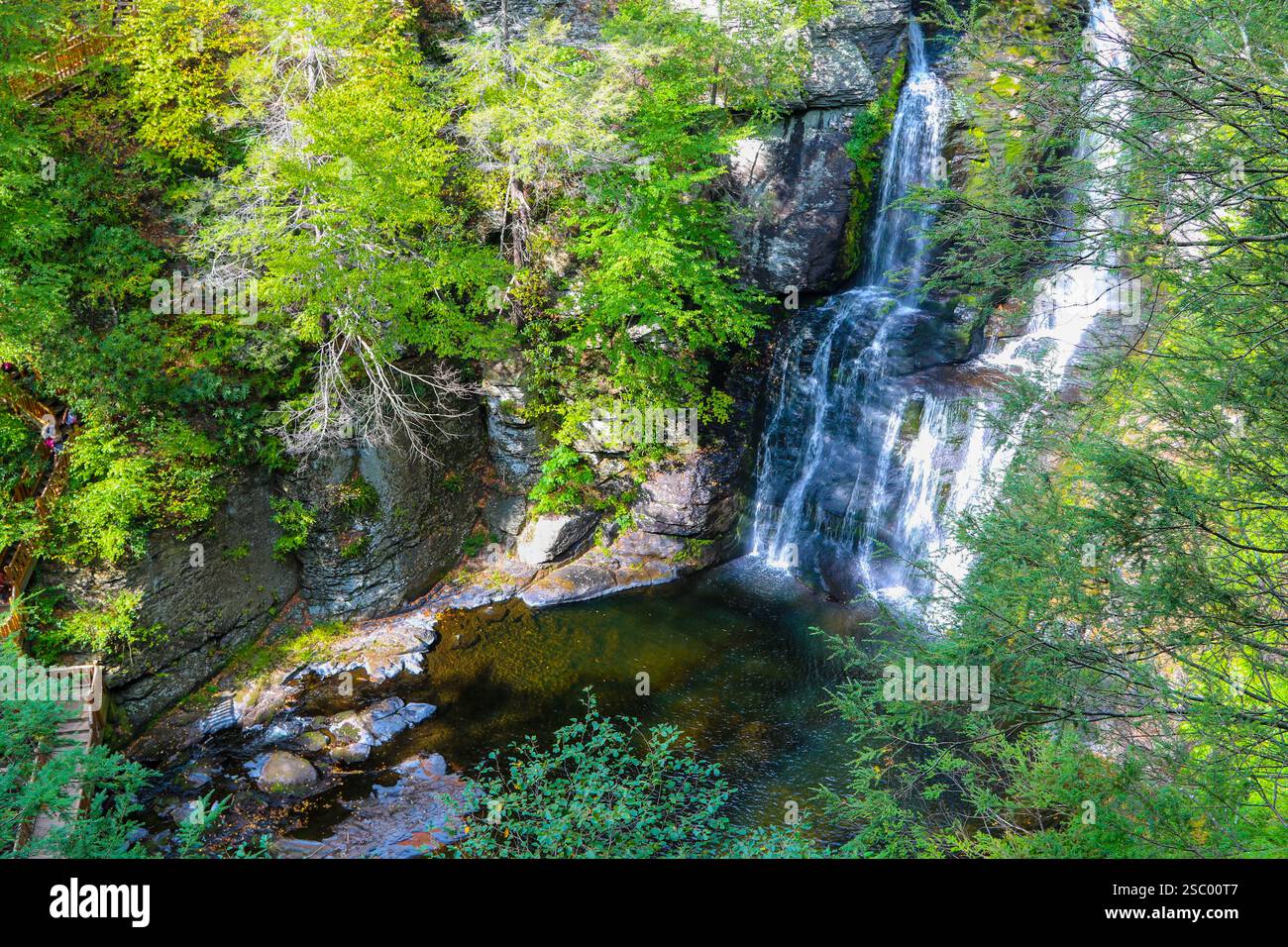 Waterfall pours over rocky cliffs into a tranquil pool surrounded by ...