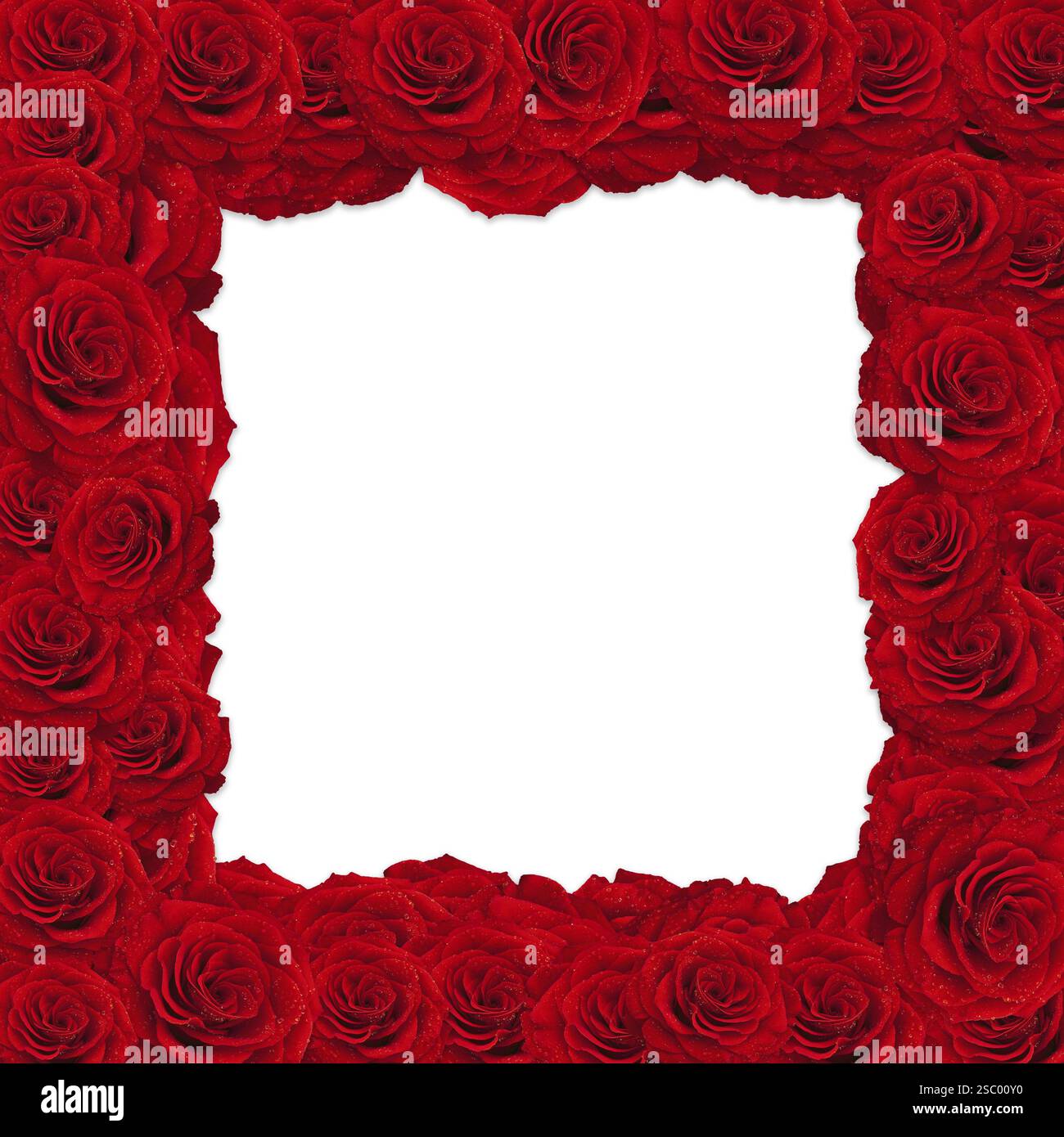 Red roses frame over white background, copyspace Stock Photo - Alamy