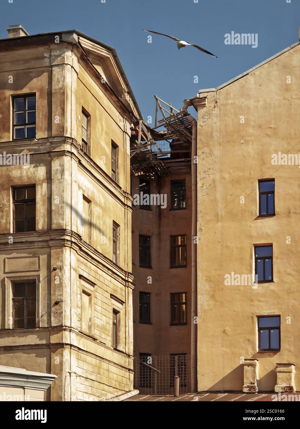 Old buildings in Russian city center and seagull in the sky Stock Photo ...