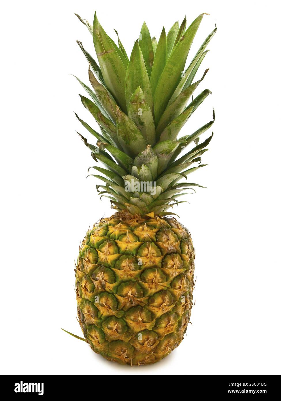 Photo of the big pineapple against the white background Stock Photo - Alamy