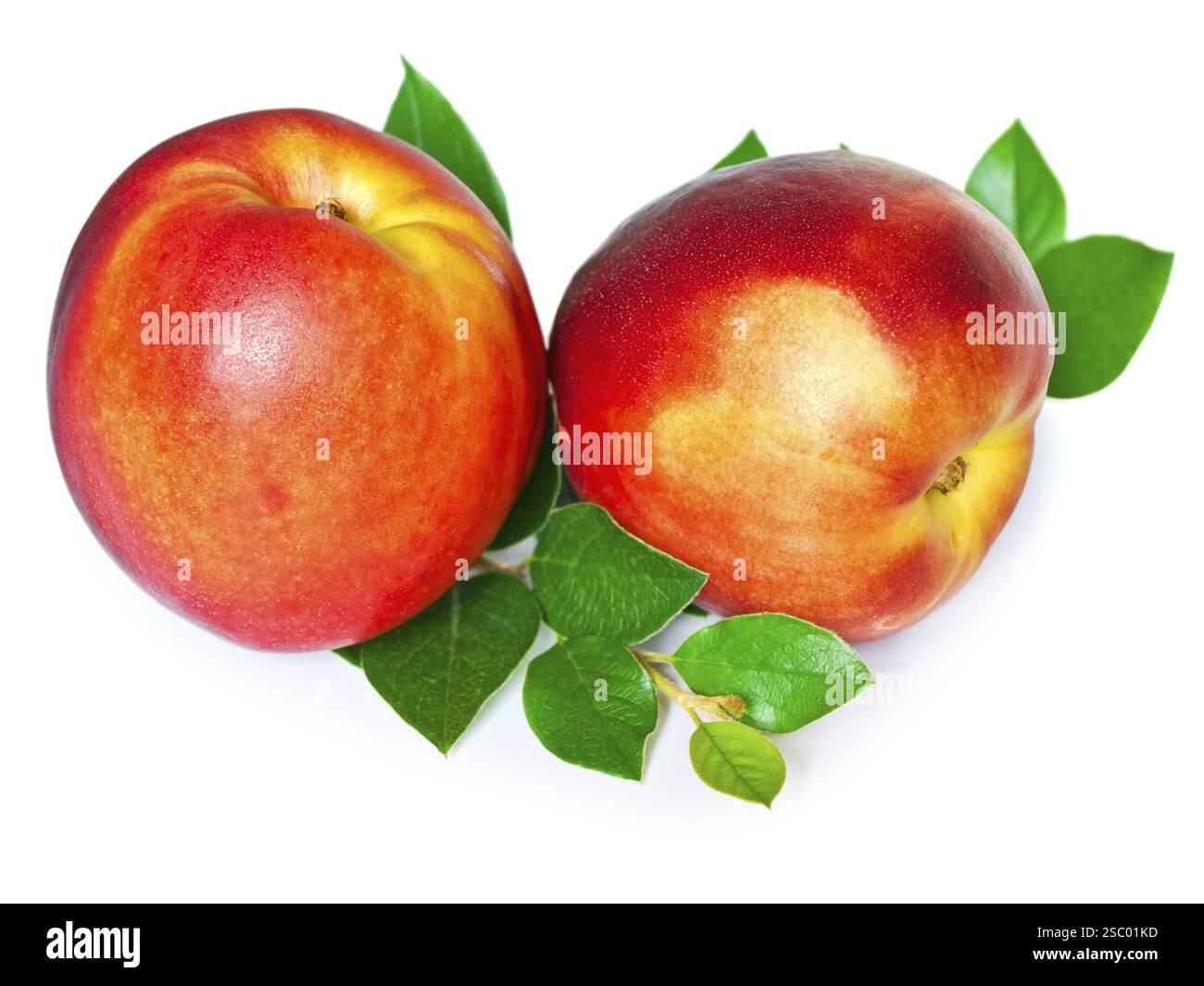 Two nectarines with green leaves over white background Stock Photo - Alamy