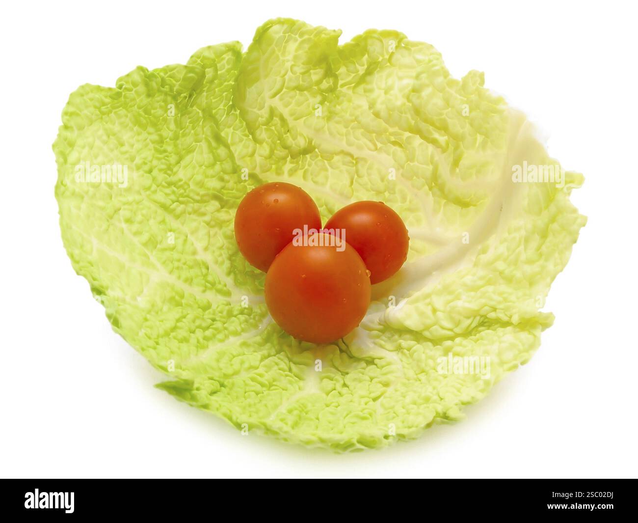 Little tree leaves in Cut Out Stock Images & Pictures - Alamy