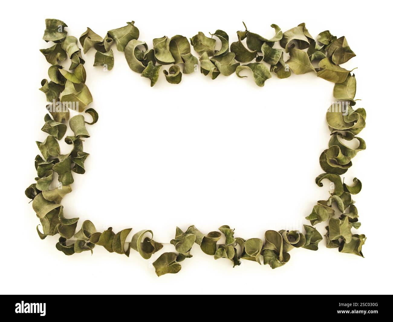 Dry Leaves Border With Copyspace For Your Text Against White Stock ...