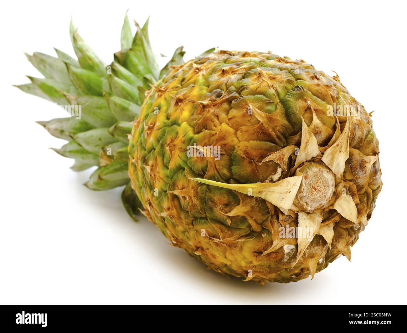 Photo of the big pineapple against the white background Stock Photo - Alamy