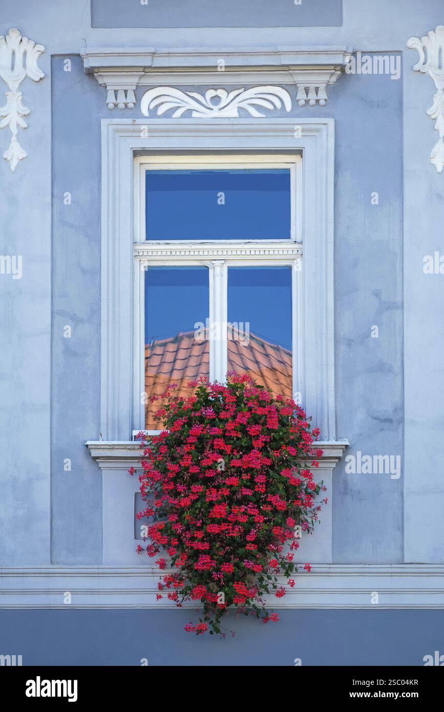 Flowers in window sills hi-res stock photography and images - Alamy