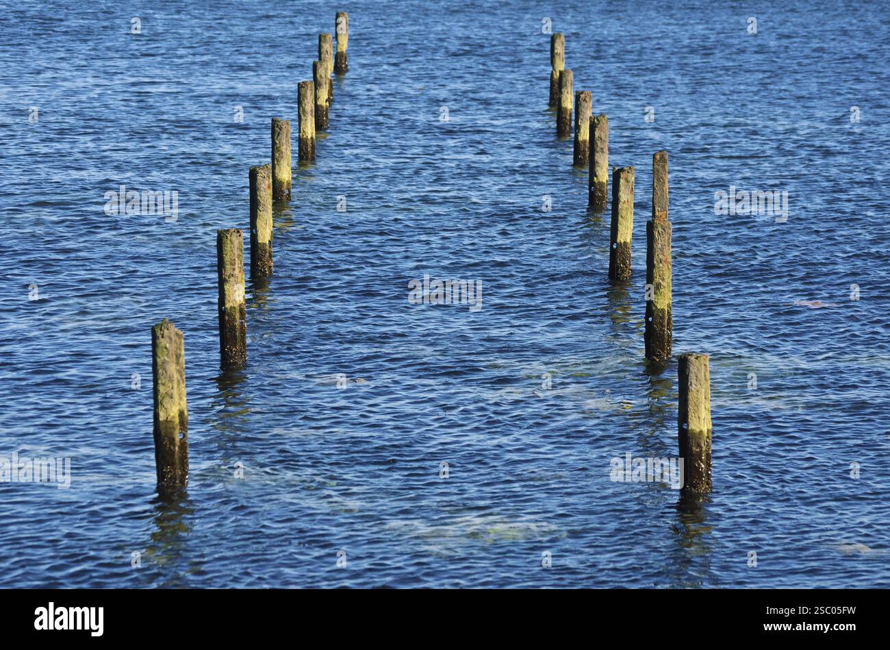 Two Rows Of The Poles In The Sea Stock Photo - Alamy