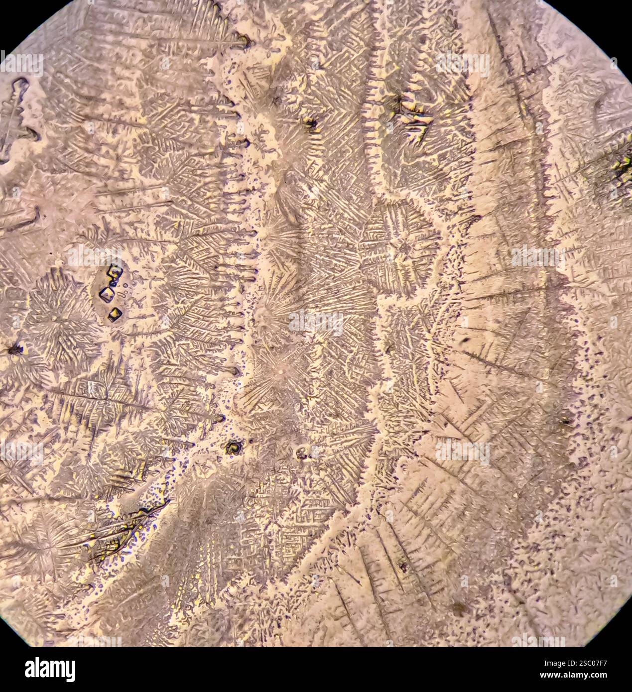 A thin layer of crystals precipitated from mineral spring water, as ...