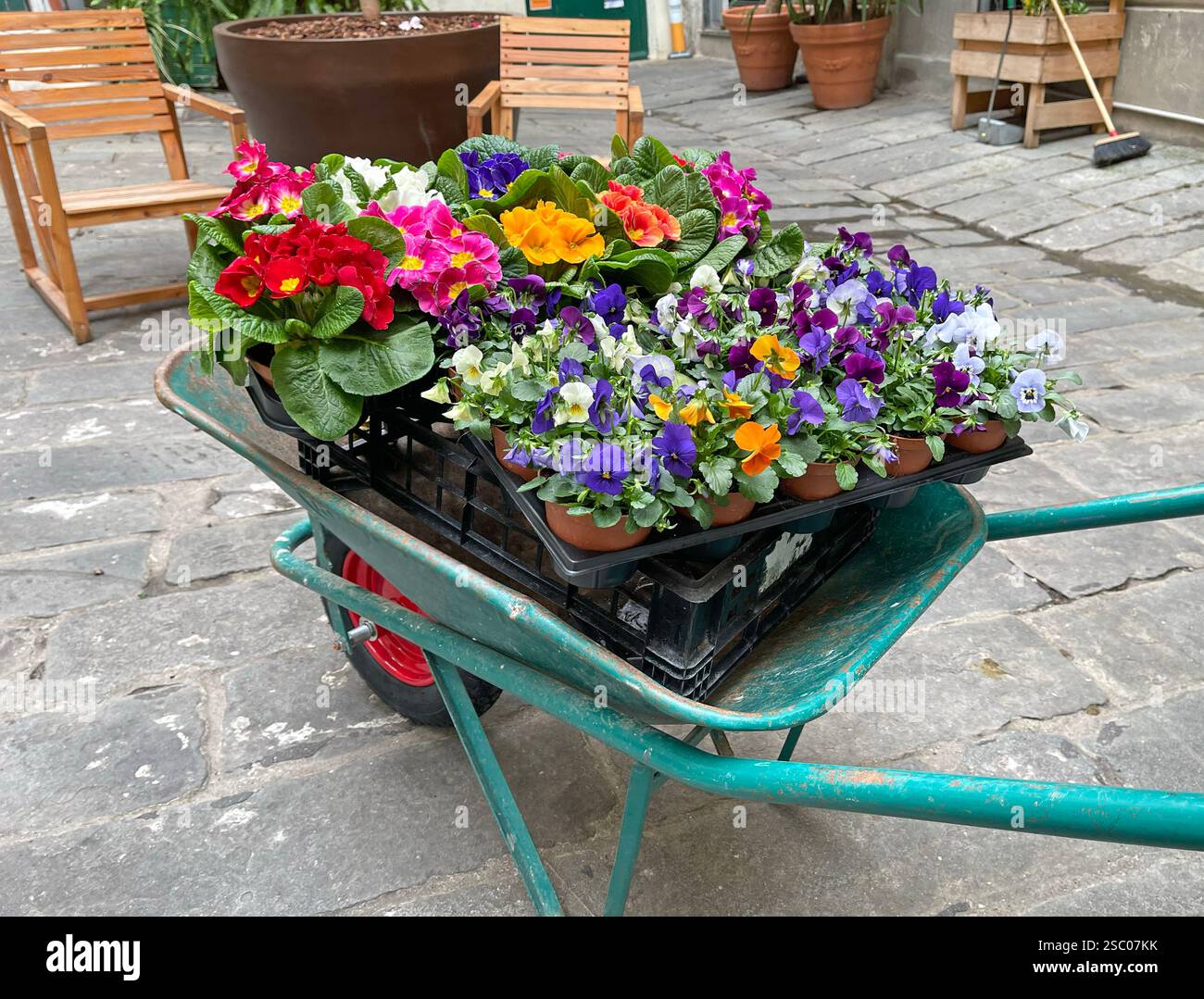 Garden wheelbarrow with flowers in center of historic old square of ...