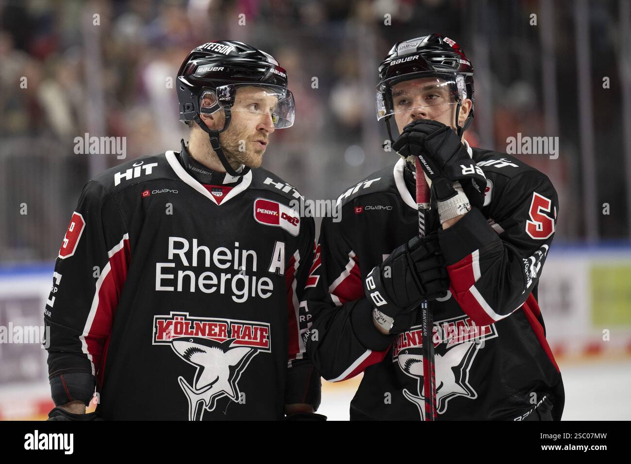 LanxessArena, Cologne, North Rhine-Westphalia, Frederik Storm (Cologne ...