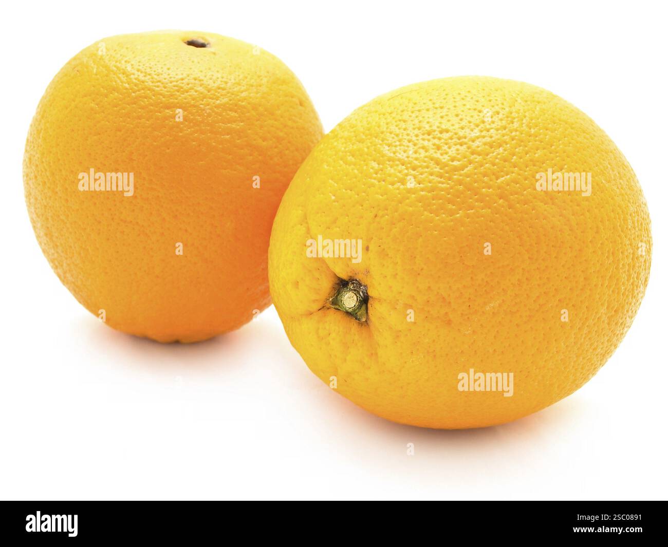 Two yellow oranges over the white background Stock Photo - Alamy