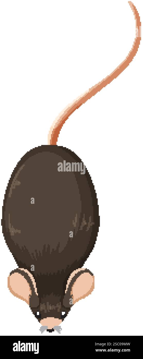 Detailed vector illustration of a mouse from above Stock Vector Image ...