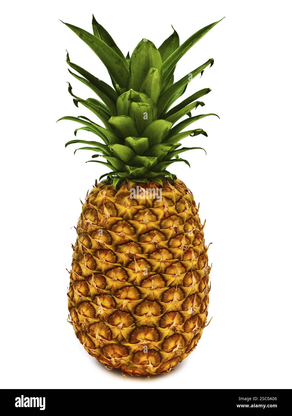 Ripe and tasty pineapple over the white background Stock Photo - Alamy
