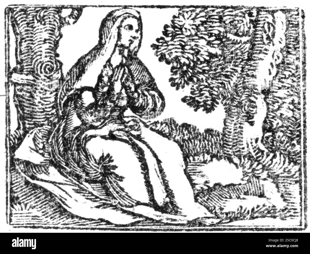 History of Valentine and Orson (1806) - woodcut 02 Stock Photo - Alamy