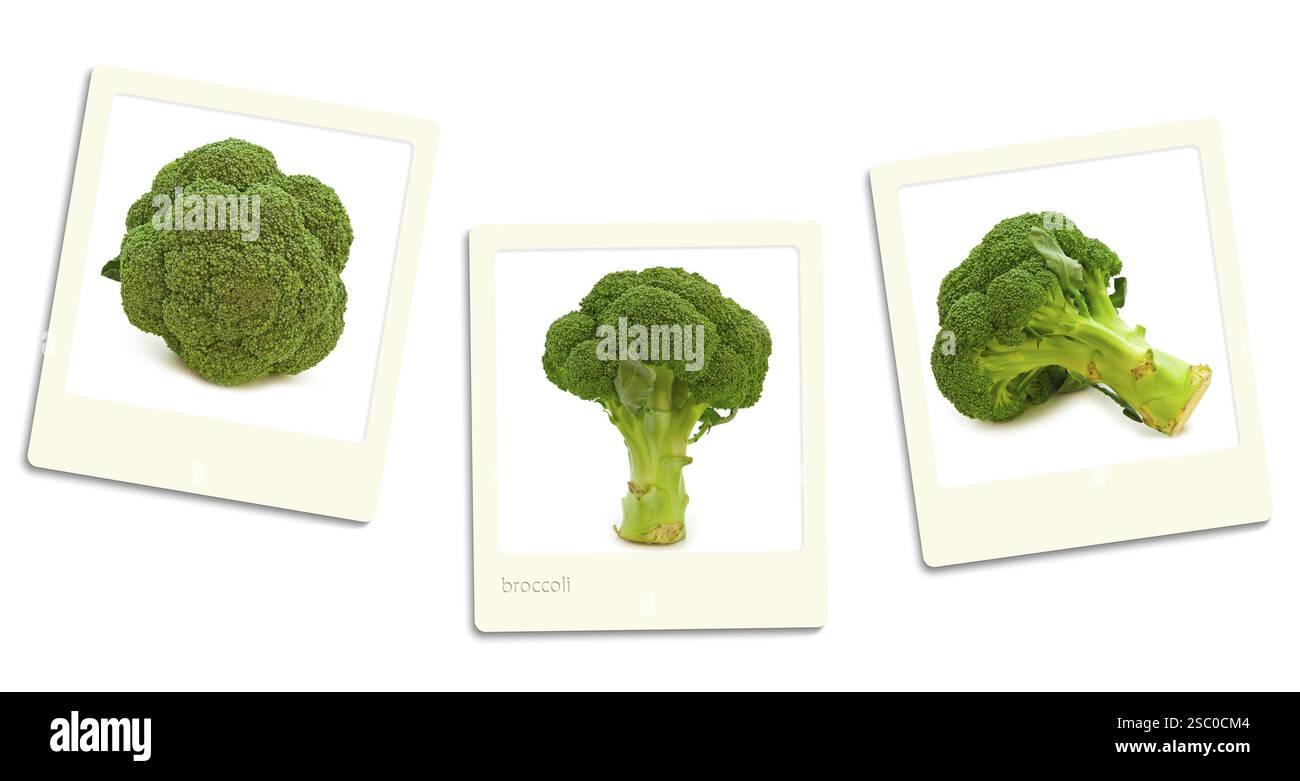 Thre Old Style Photos Of Broccoli Over White Background Stock Photo - Alamy