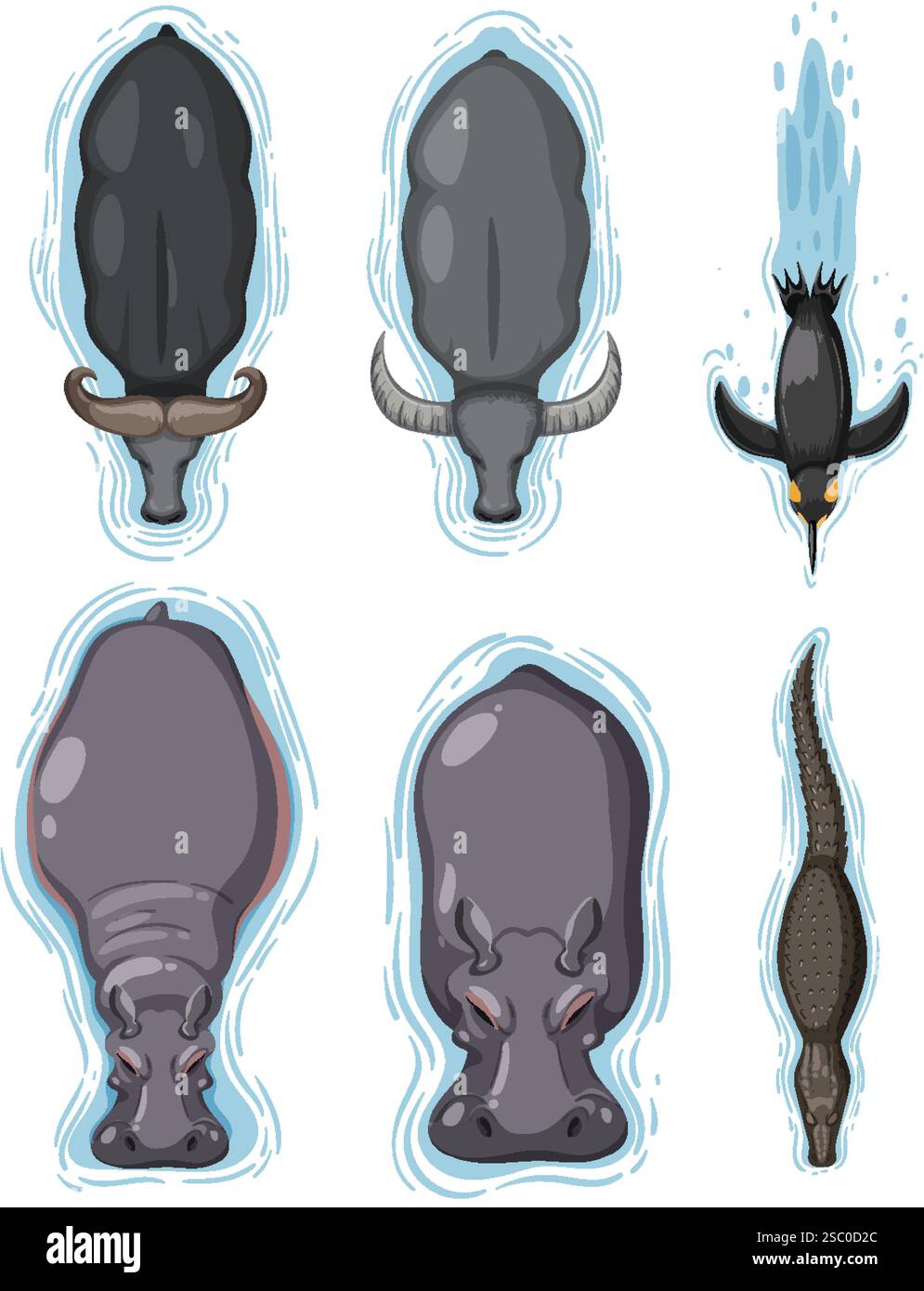 Endangered marine animals Cut Out Stock Images & Pictures - Alamy