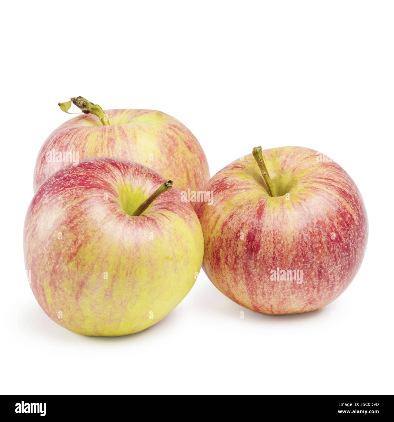 Tree Ripe Apples Over The White Background Daugavpils, Latvia, Europe ...
