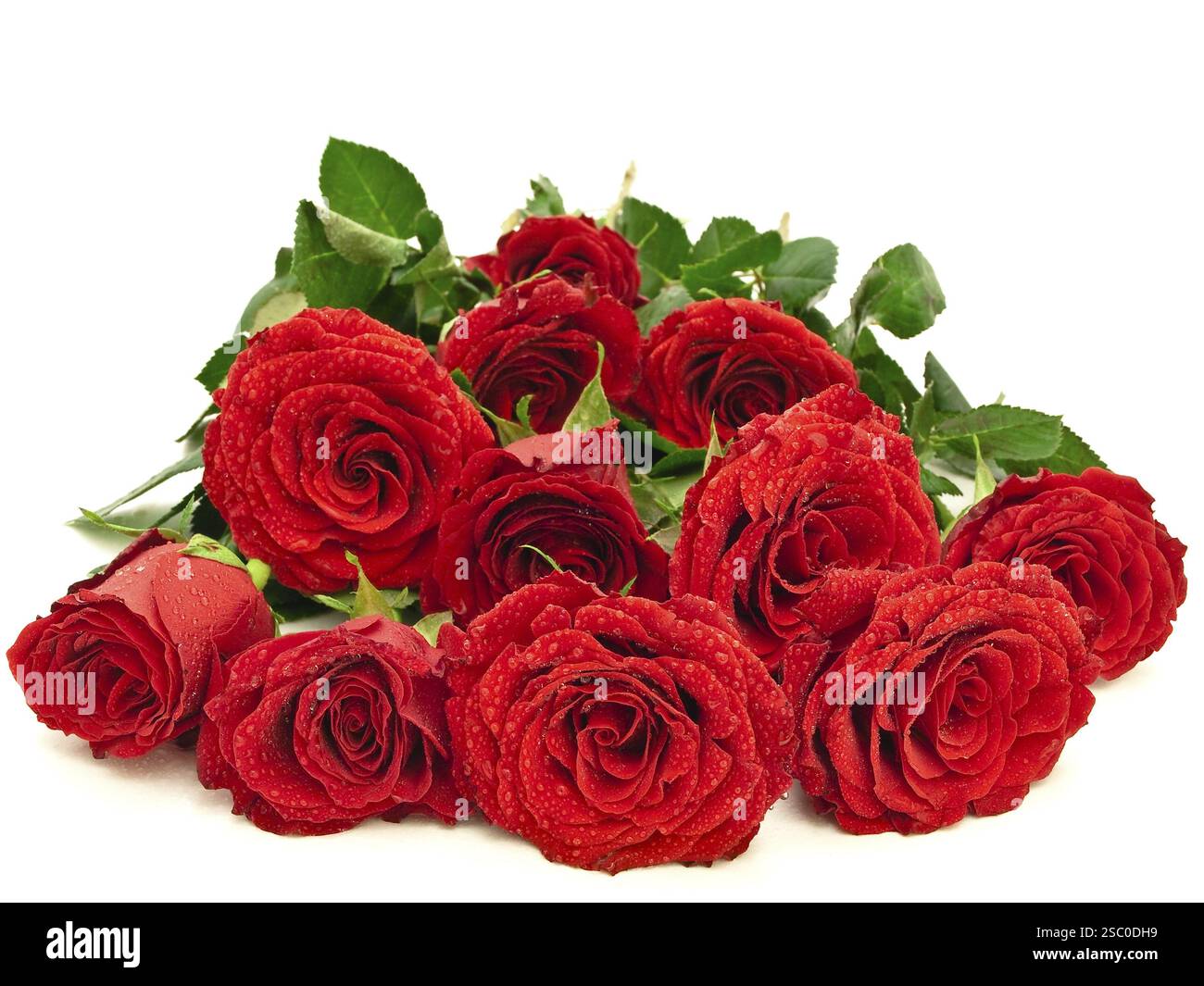 Cut white flower photo white background Cut Out Stock Images & Pictures ...