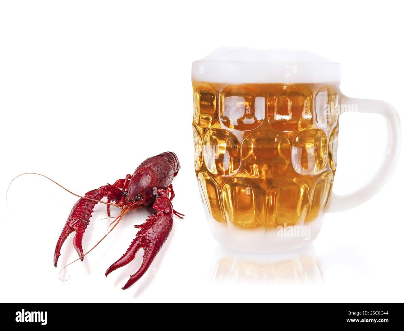 Red boiled crawfish and mug of beer over the white Stock Photo - Alamy