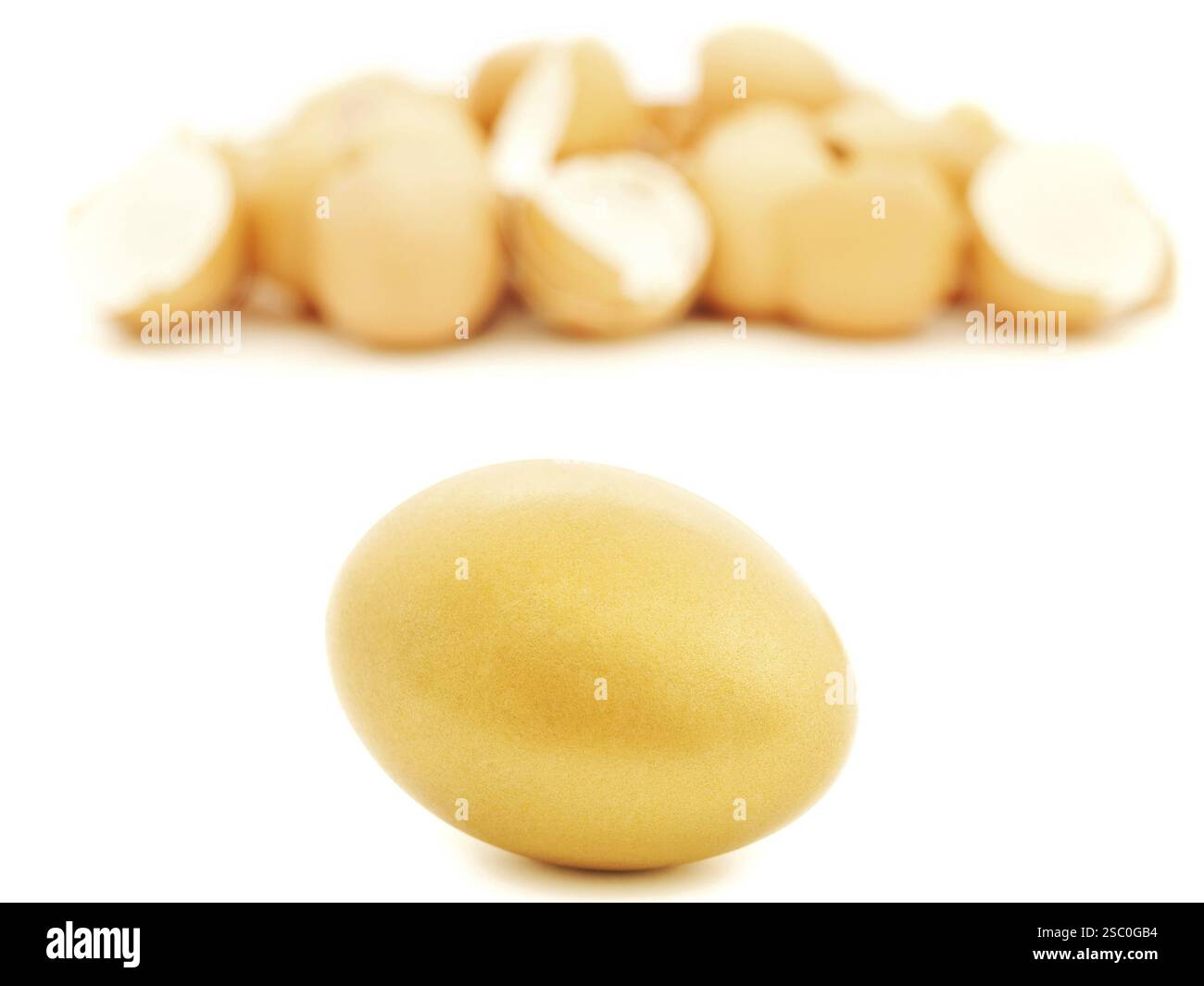 Golden Egg At White Against Heap Of Egg Shell Stock Photo - Alamy