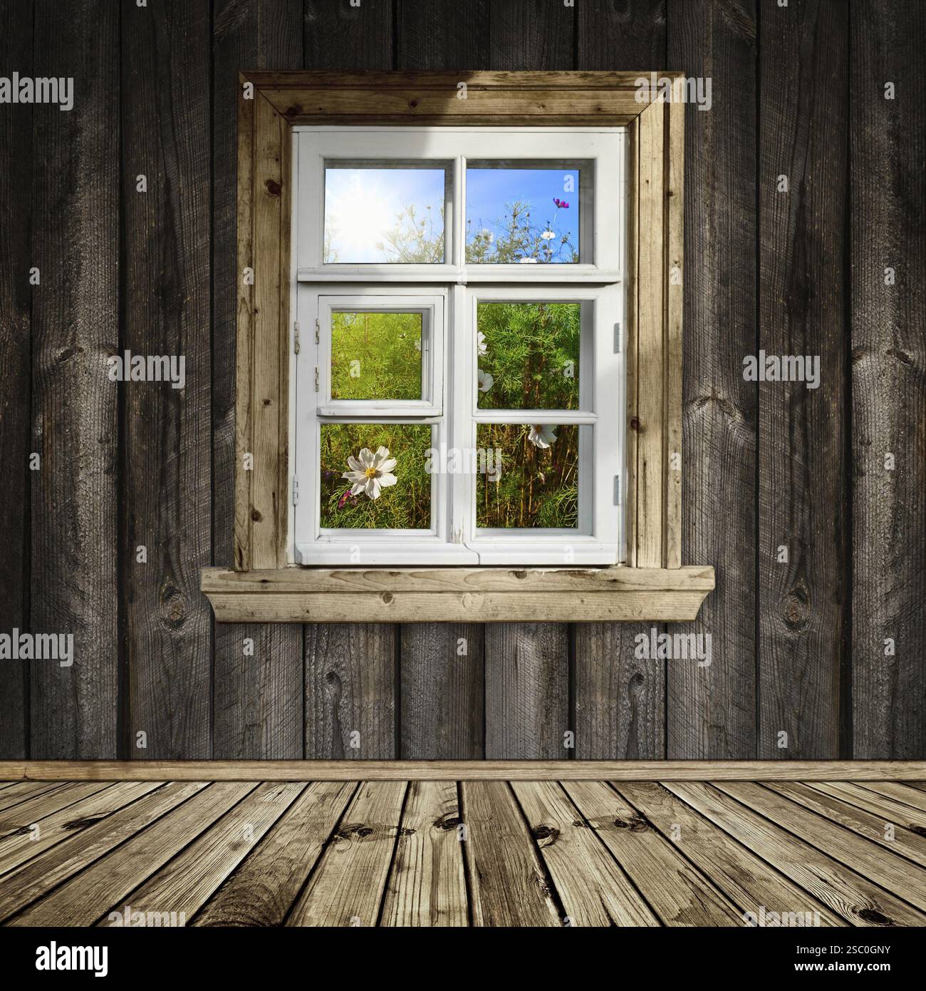 Wooden room with a window overlook the garden Stock Photo - Alamy