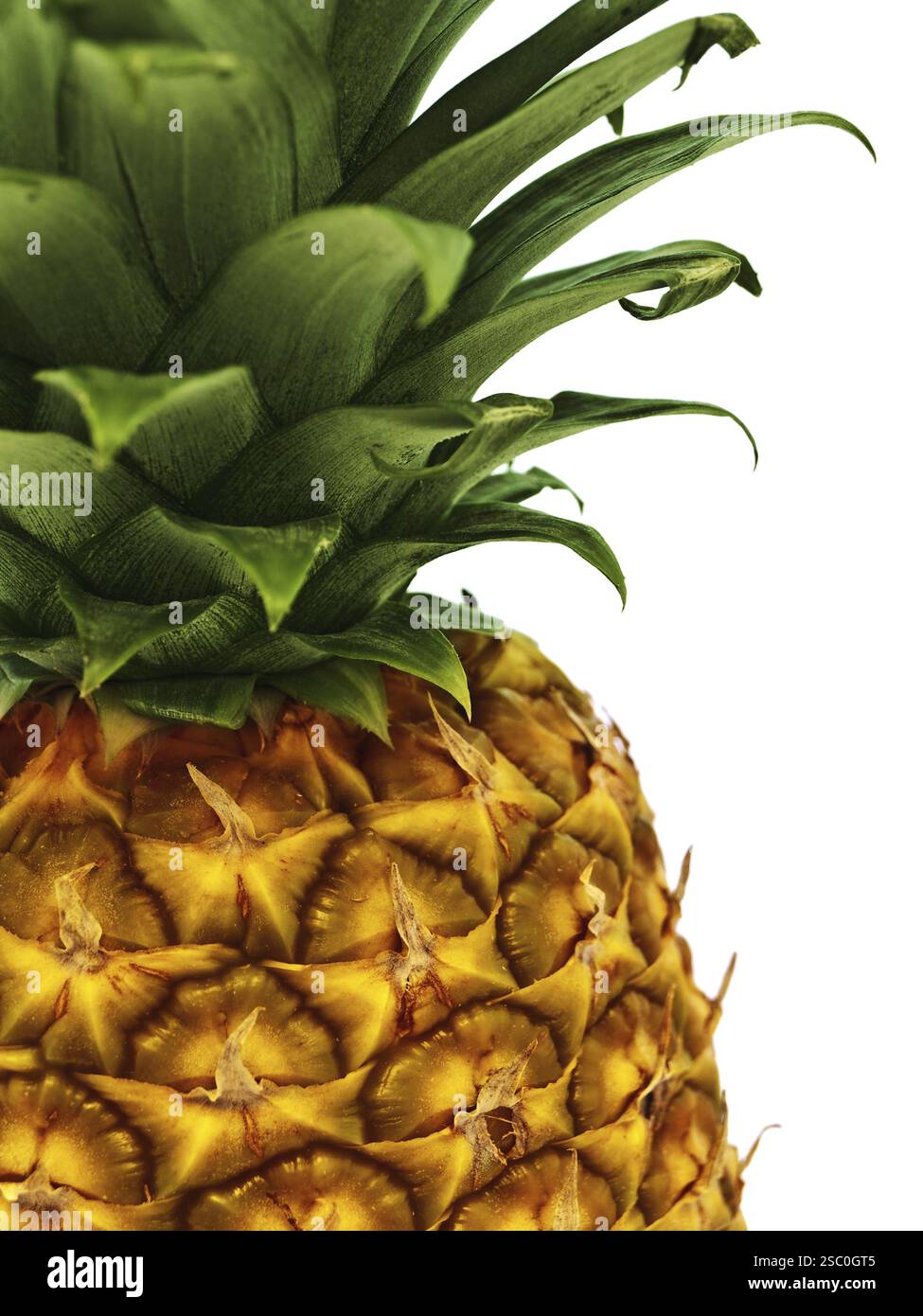 Ripe and tasty pineapple over the white background Stock Photo - Alamy