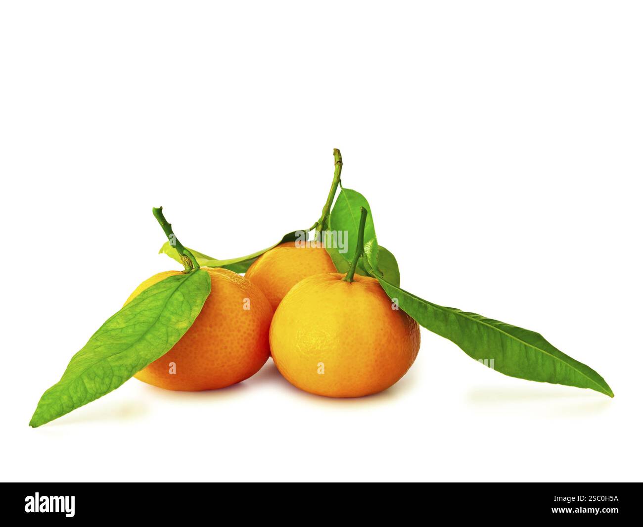 Three mandarins with green leaves over white Stock Photo - Alamy