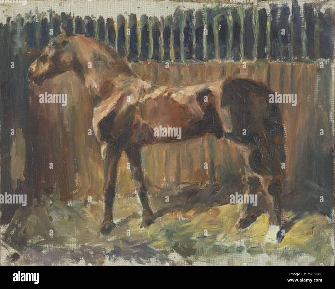 Hobune hi-res stock photography and images - Alamy