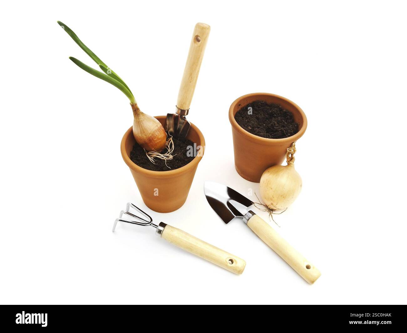 Gardening Tools And Pots With Black Soil And Green Onion Against White ...