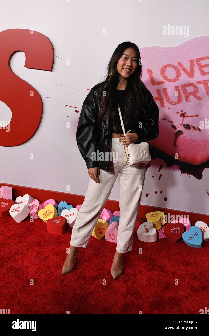 Hollywood, California, USA 3rd February 2025 Remy Park attends ...