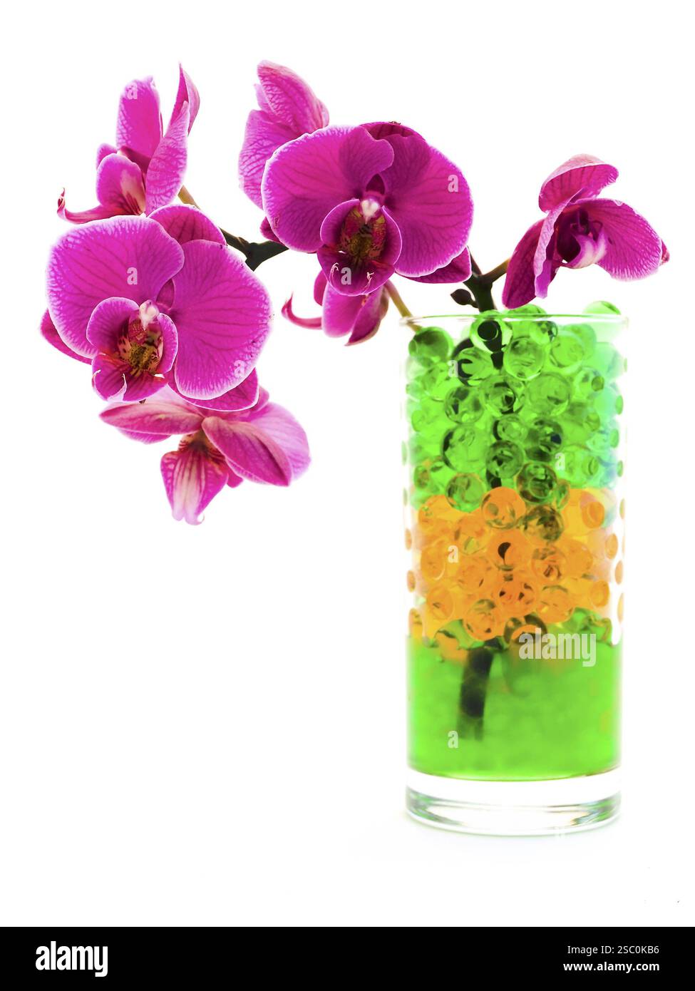 Rose flowers in air Cut Out Stock Images & Pictures - Alamy