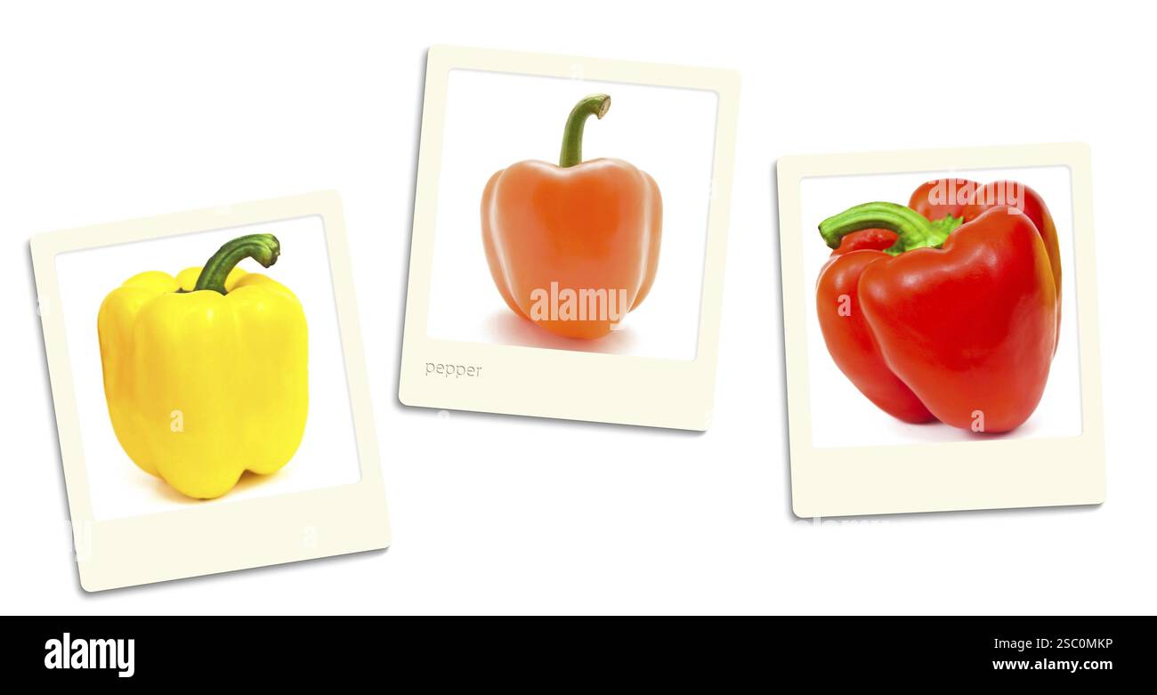 Thre Old Style Photos Of Paprika Over White Background Stock Photo - Alamy