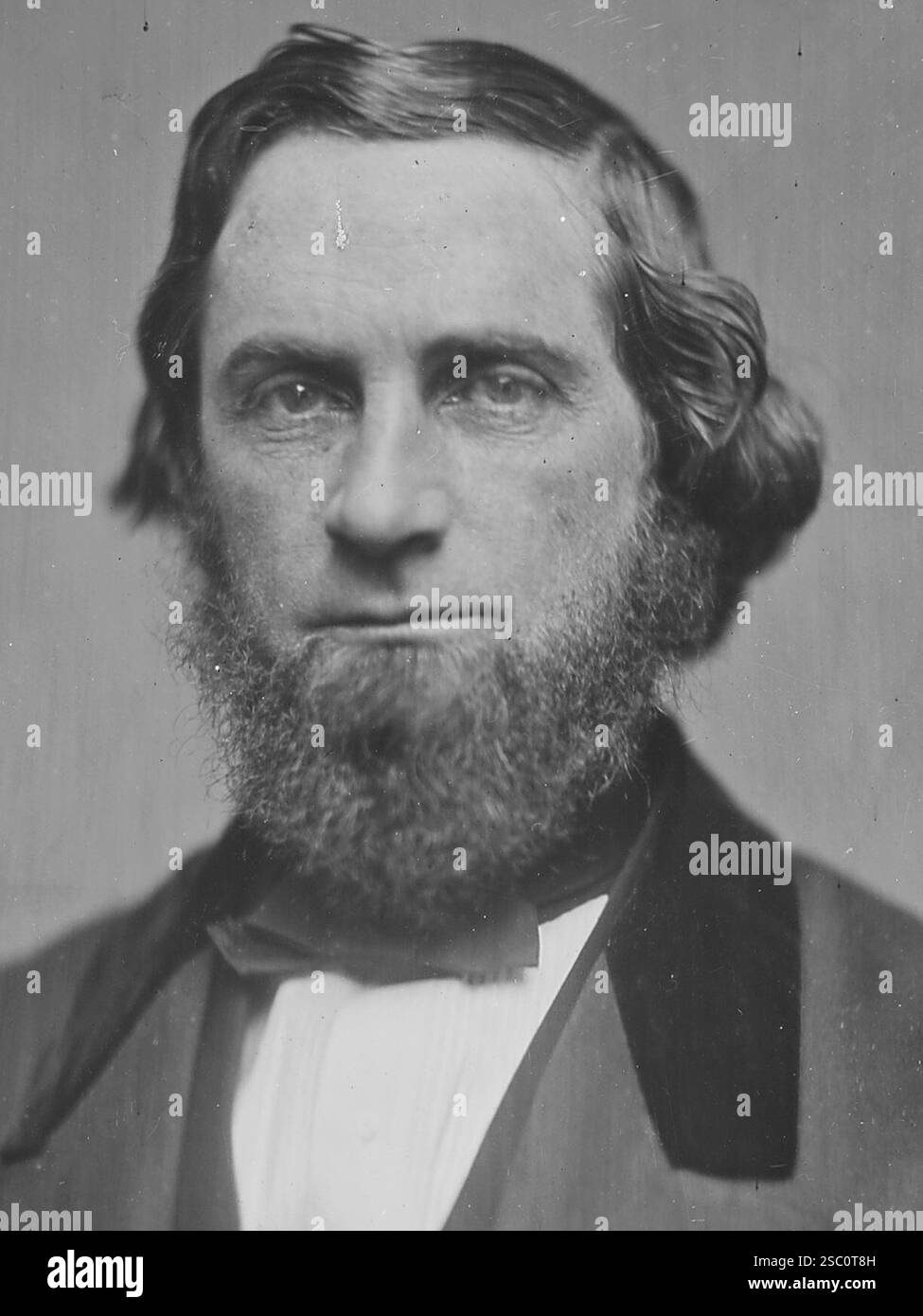 Hon. Thomas T. Davis, New York Stock Photo - Alamy