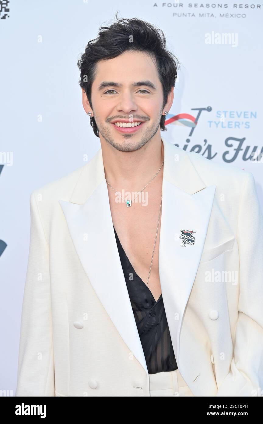 Hollywood CA USA - February 2, 2025: David Archuleta attends Steven ...