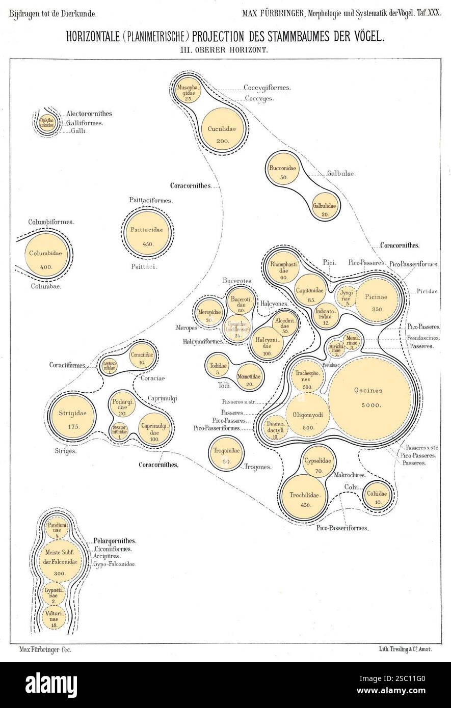 Horizontal Planimetric III Stock Photo - Alamy