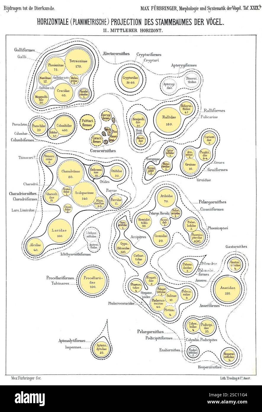 Horizontal Planimetric II Stock Photo - Alamy