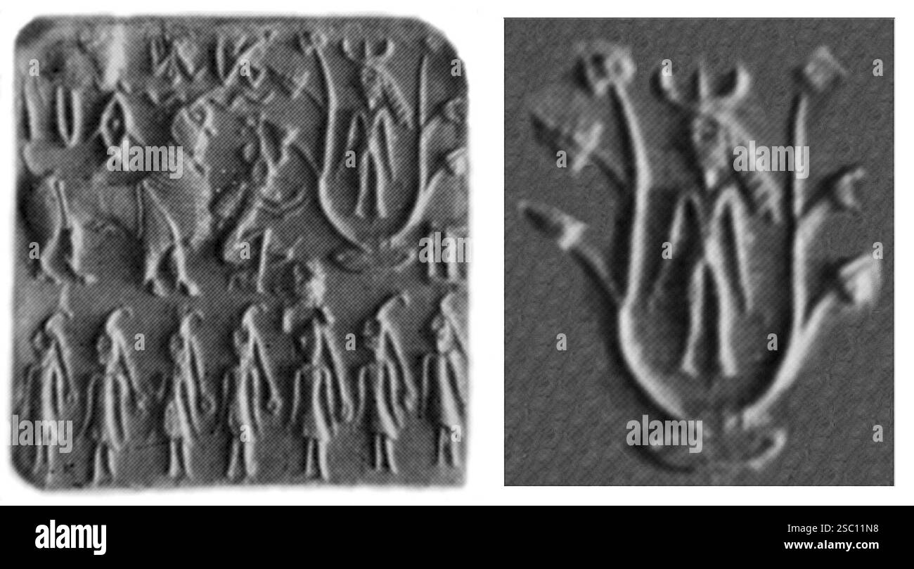 Seal and detail Black and White Stock Photos & Images - Alamy