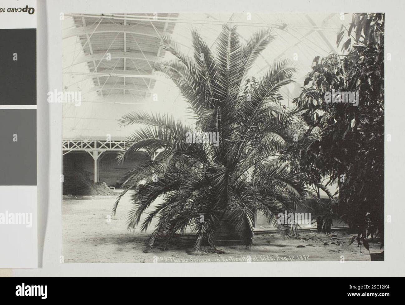 Horticultural building construction photos 22 Stock Photo - Alamy
