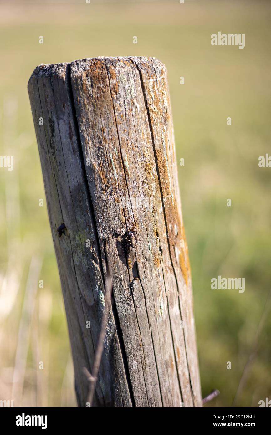 The weathered wooden post stands tall amidst a backdrop of gently ...