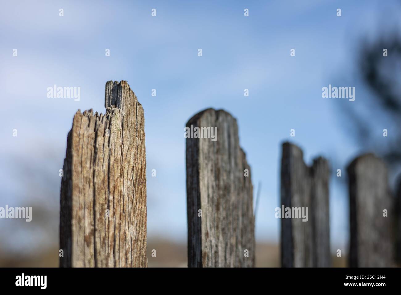 The weathered wooden post stands tall amidst a backdrop of gently ...