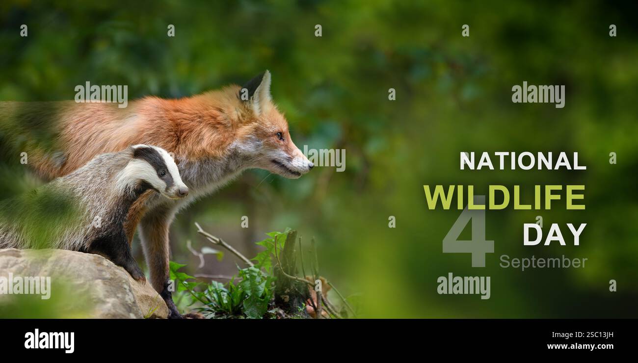 Wildlife conservation poster hi-res stock photography and images - Alamy
