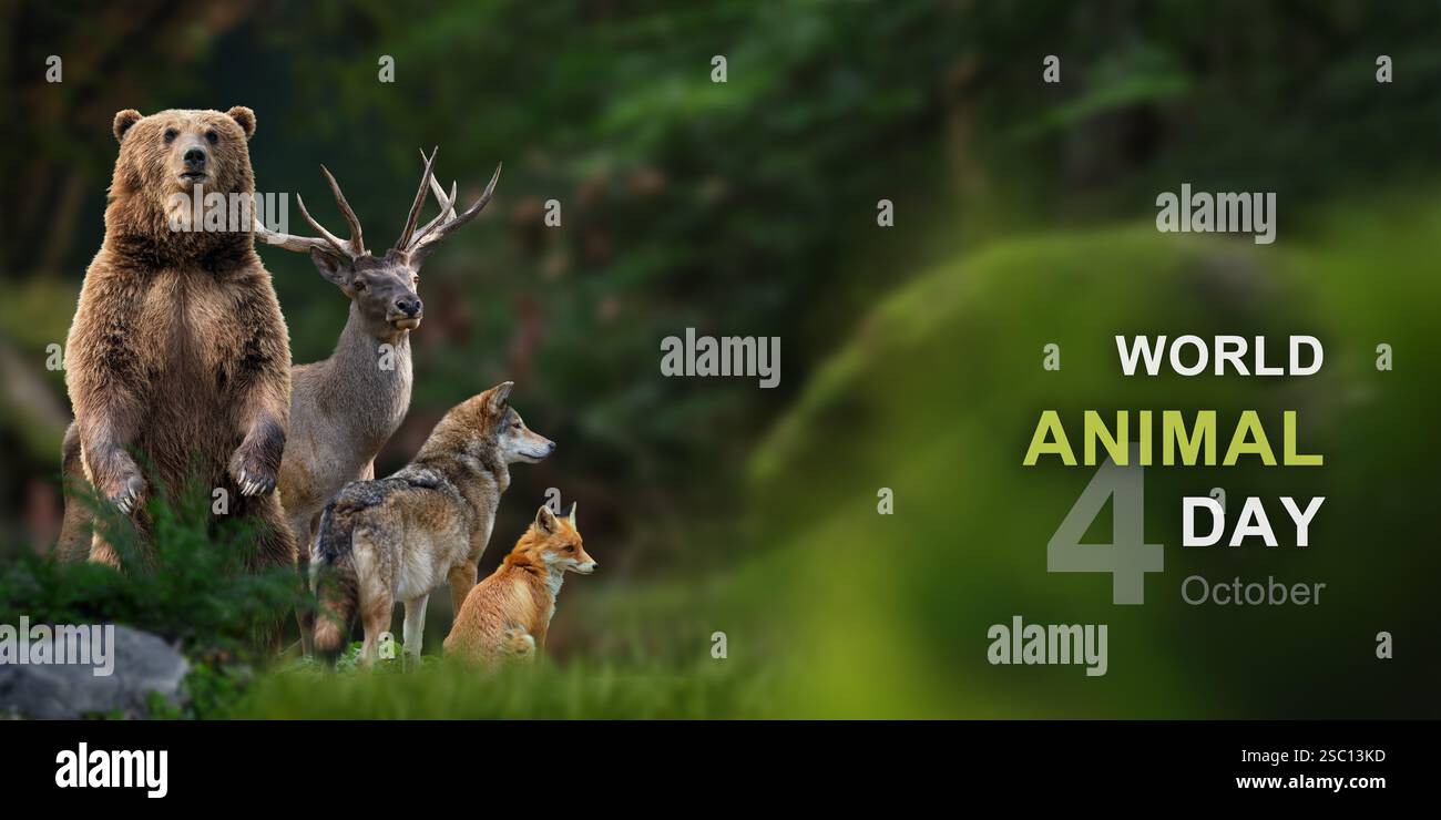 World animal day, 4 October Stock Photo - Alamy