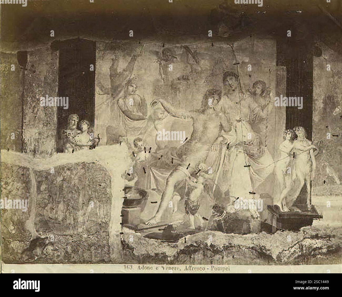 House of Adonis and Venus VI 7,18 Pompeii 19th century photo of the ...