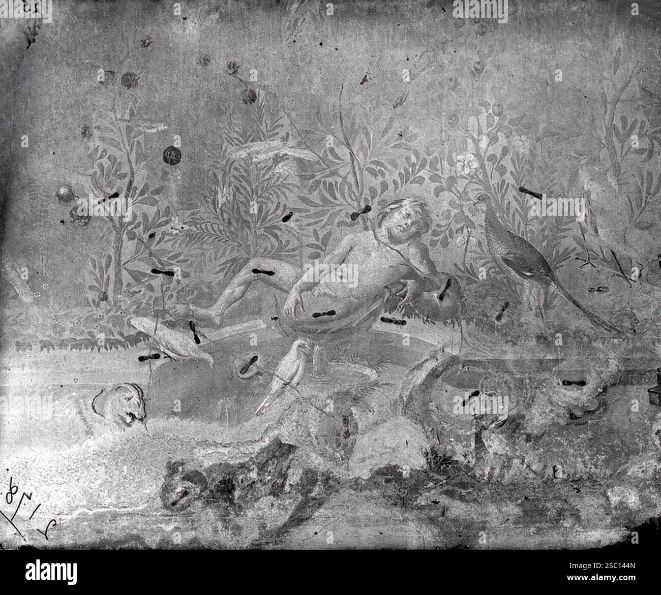 House of Adonis and Venus VI 7,18 Pompeii 1871 Painting on north wall ...