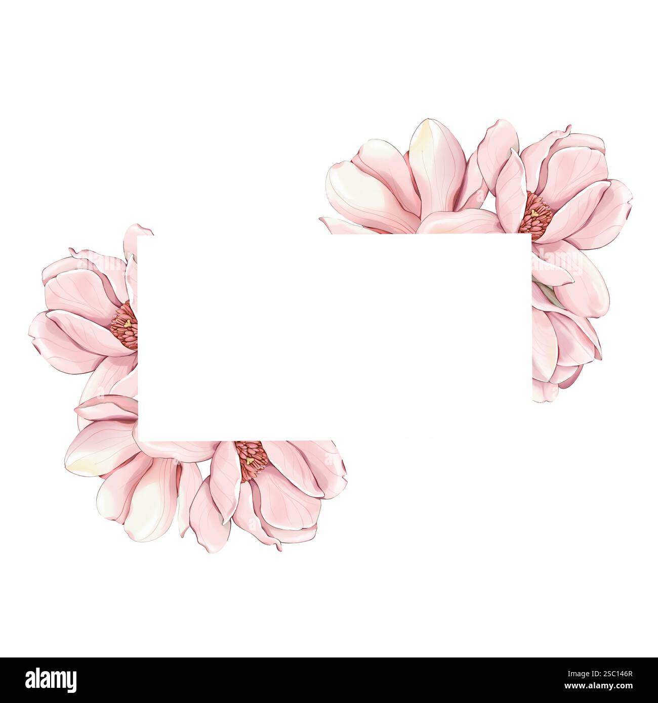Greeting card magnolia flowers Cut Out Stock Images & Pictures - Alamy