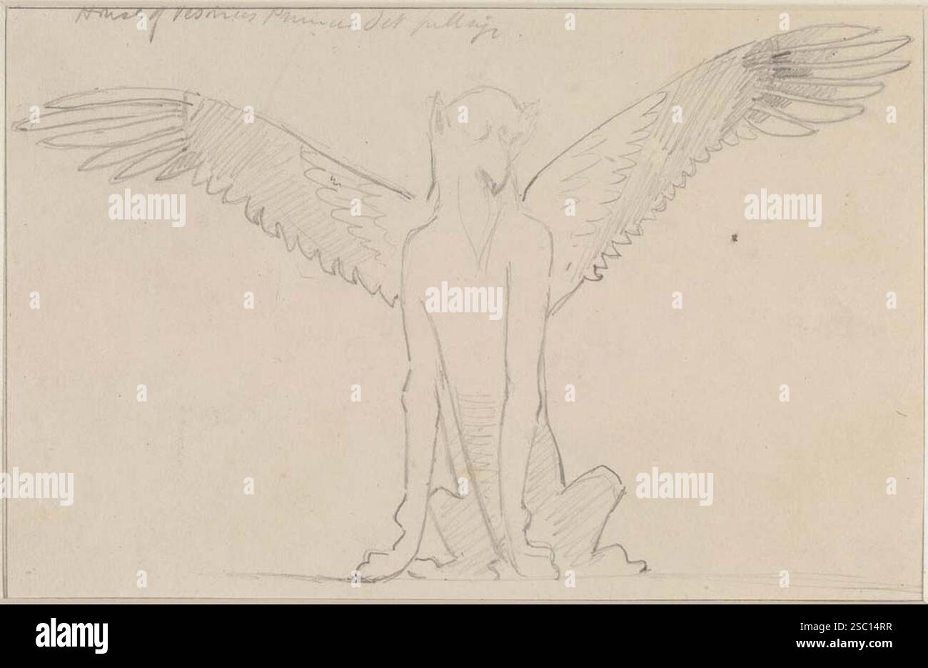 House of Orpheus 1870s sketch drawing by Sydney Vacher of painted bird ...