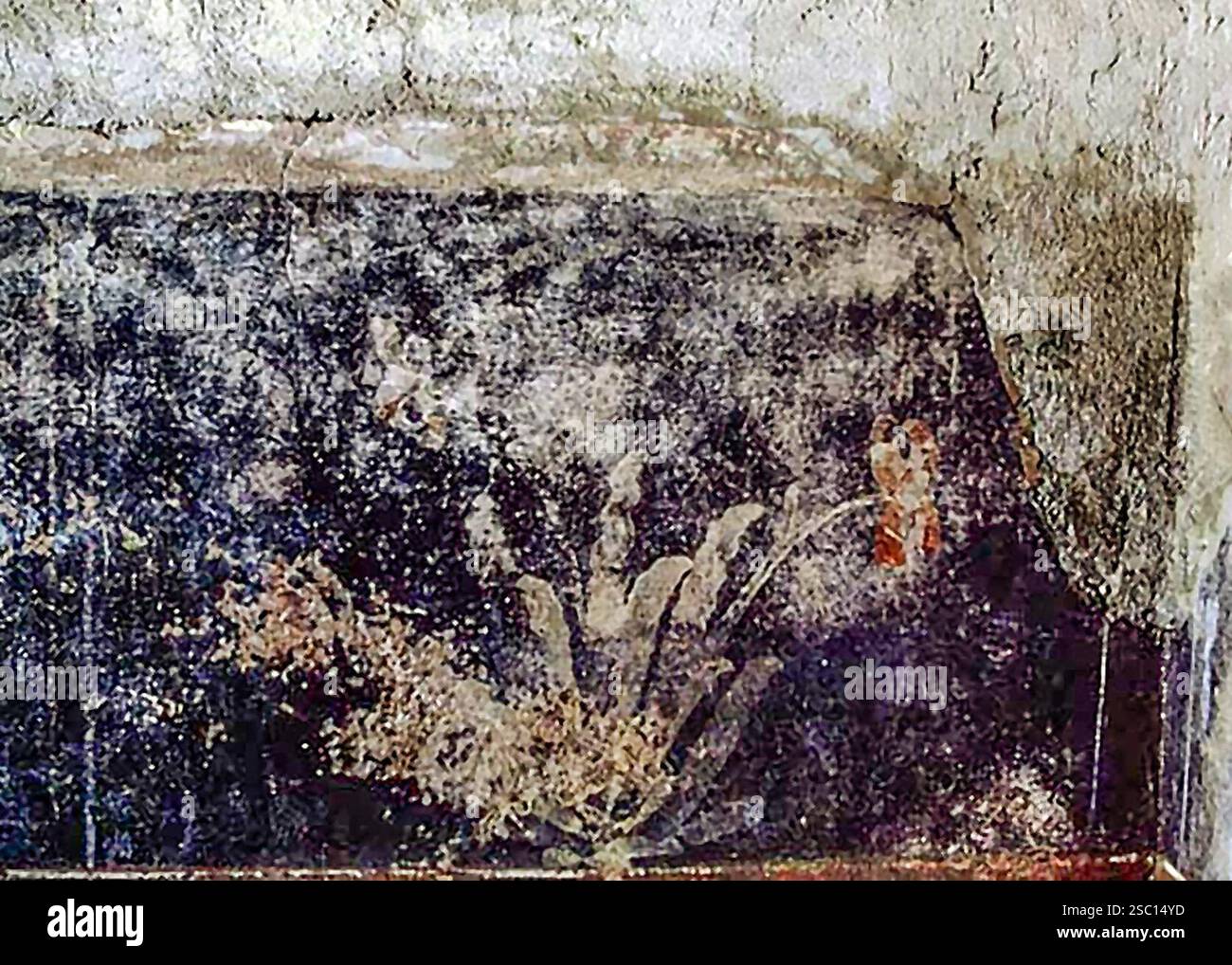 House of the Arches Pompeii Room (i), black plinth with painted plant ...